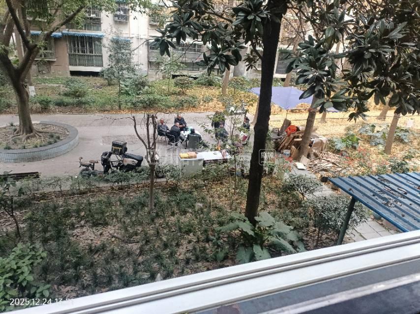 社区不作为，投诉扰民无任何处理 - 问政成都市 - 四川群众呼声 - 四川省网上群众工作平台-成都市委书记